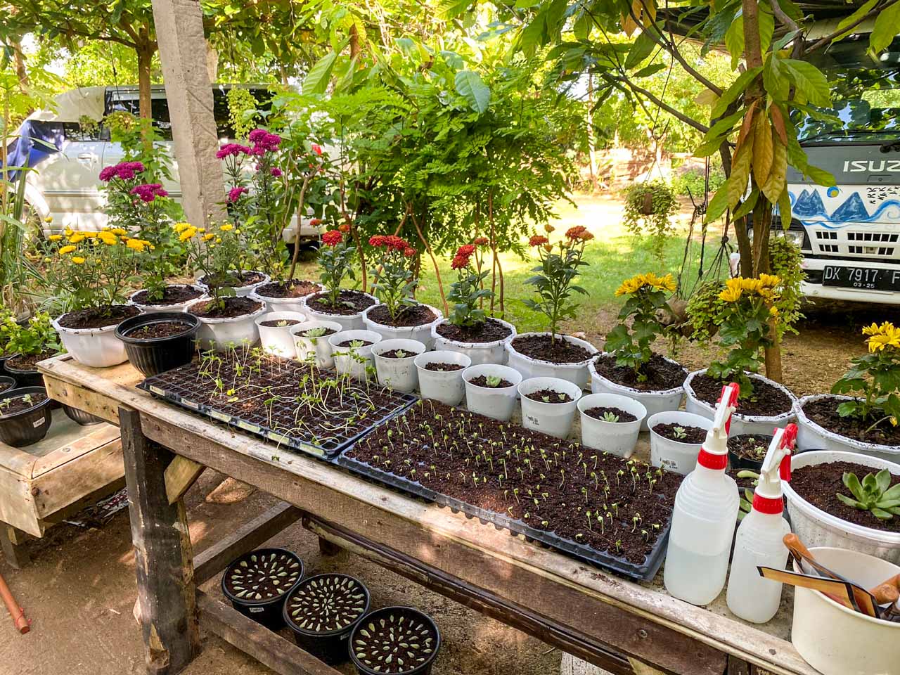 ZeroWaste Center | Sharing environmental knowledge & waste management ...